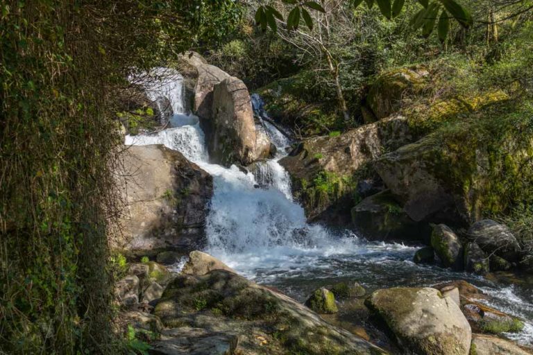 Río Barosa: Molinos, cascadas y ruta por un paraíso gallego