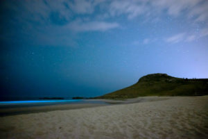 Mar de Ardora. Magia en las playas de Galicia - Perder el Rumbo