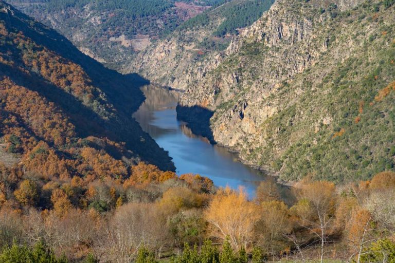 Cañones del Sil: Miradores, barco, alojamiento y mucho más